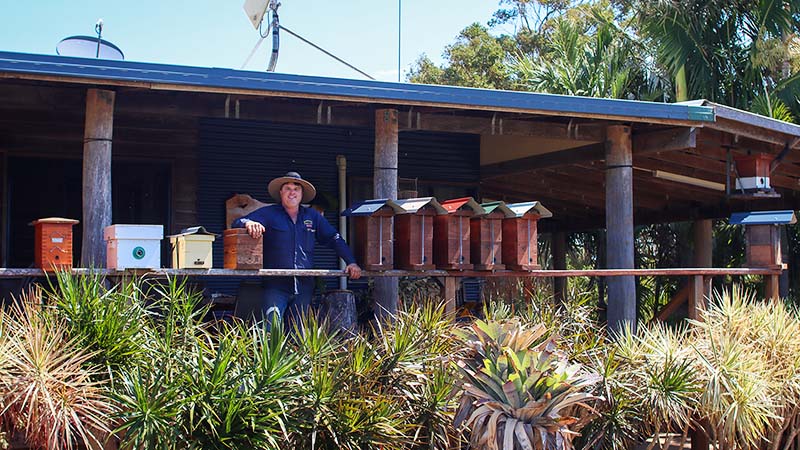 Safeguarding pollinators - A foray into native beekeeping | Growing Country